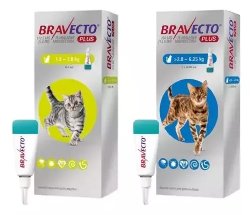 Pipeta Antipulgas Bravecto Plus: Elimina Pulgas, Garrapatas y Más