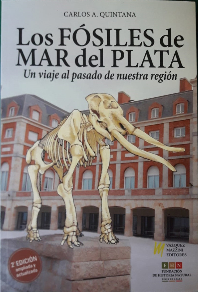 Los Fósiles de Mar del Plata - Un viaje al pasado de nuestra región